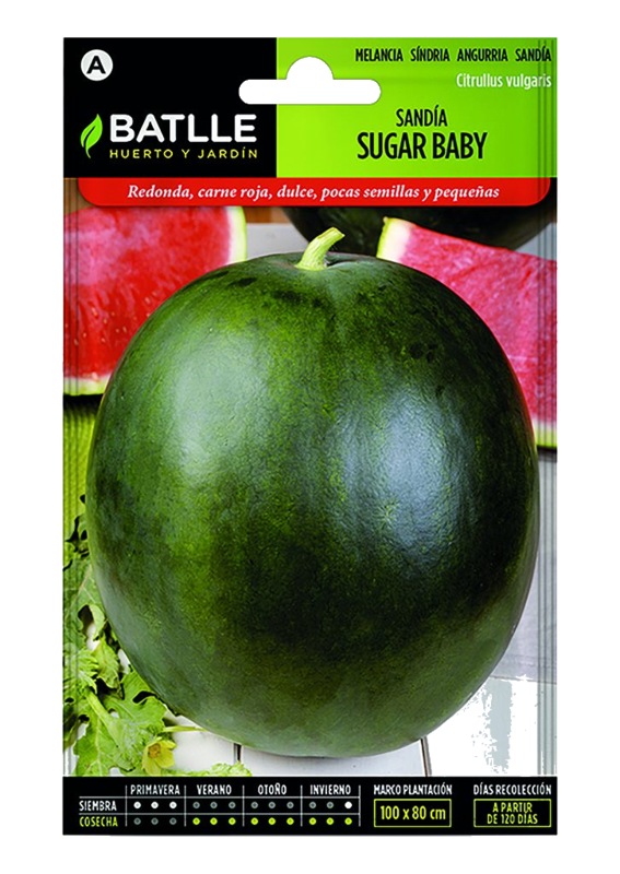 Sandia Sugar Baby