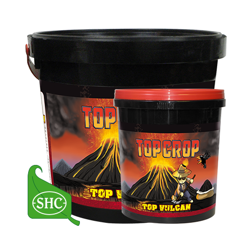 Top Vulcan 700 g
